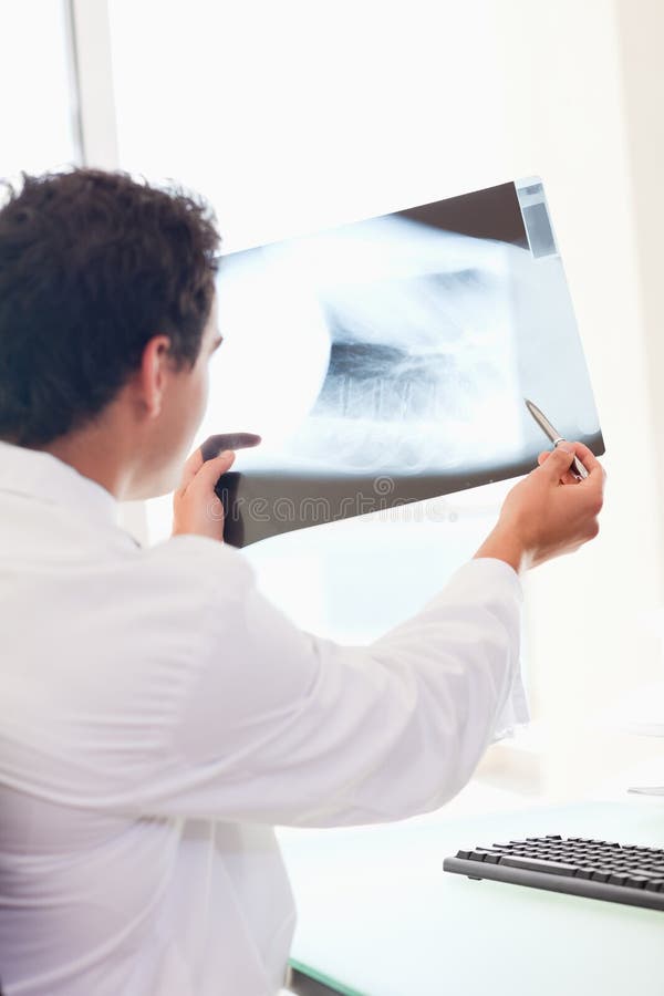 Doctor Reviewing Mammography Results on Pc. Stock Photo - Image of ...