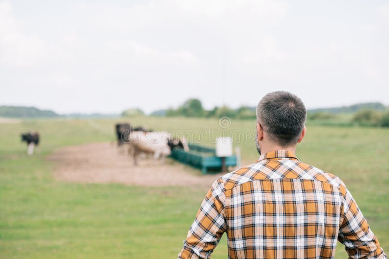 1,322 Farmer Back View Photos - Free & Royalty-Free Stock Photos from ...