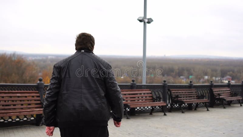Back View of Fat Man Walking at City Stock Footage - Video of plump ...