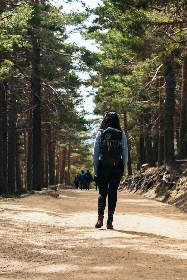 Back View of a Female Hiker Walking in the Forest Stock Photo - Image ...