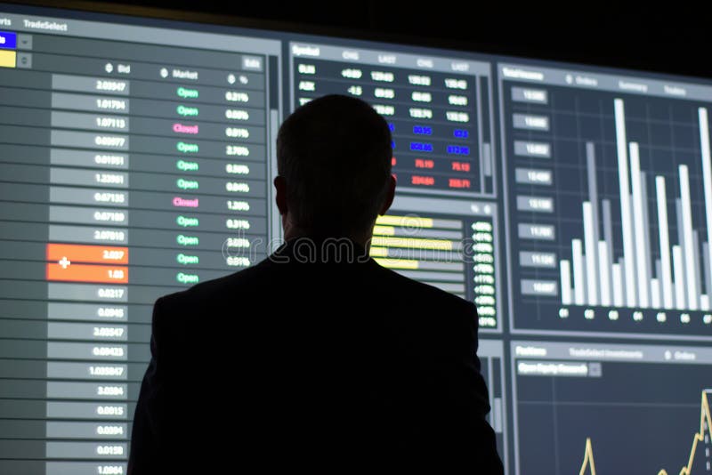 Back View of Financial Expert Analyzing Graphs Stock Image - Image of ...