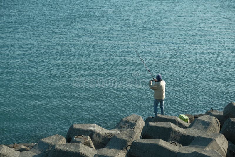 Back View of a Fisherman Catching Fish on the Coast Stock Image - Image ...