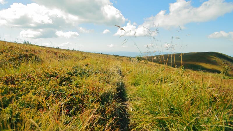 Back View on a Grassy Path, with Mountains in the Background. Stock ...