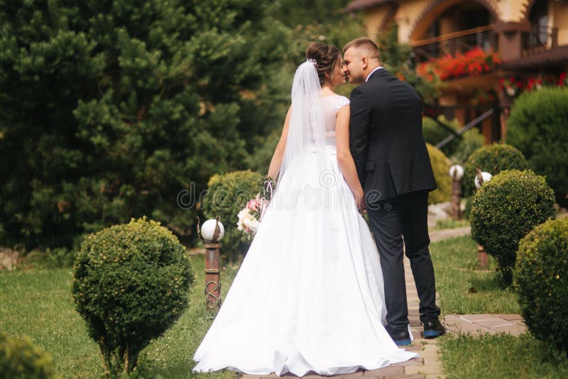 Back View of Groom and Bride. Couple Walks in the Park Stock Photo ...