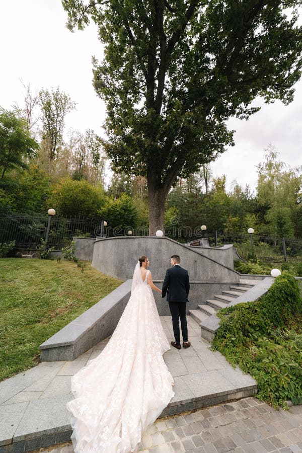 Back View of Groom and Bride Stand in Front of Big Tree. Wedding Day ...