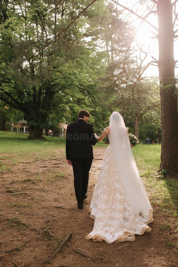 Back View of Groom and Bride Walking in the Forest Stock Image - Image ...