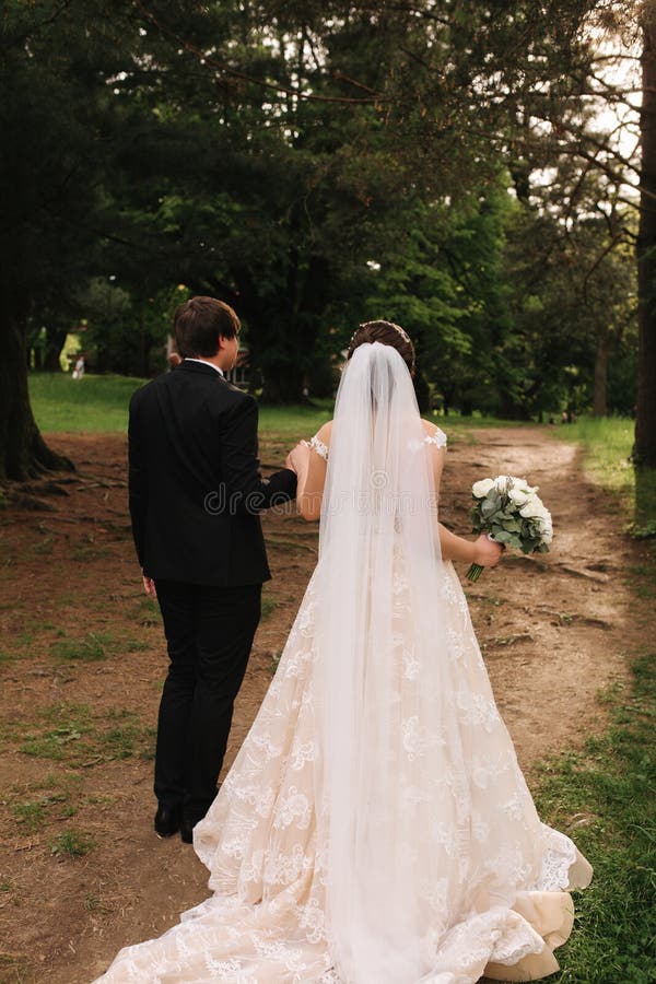 Back View of Groom and Bride Walking in the Forest Stock Image - Image ...