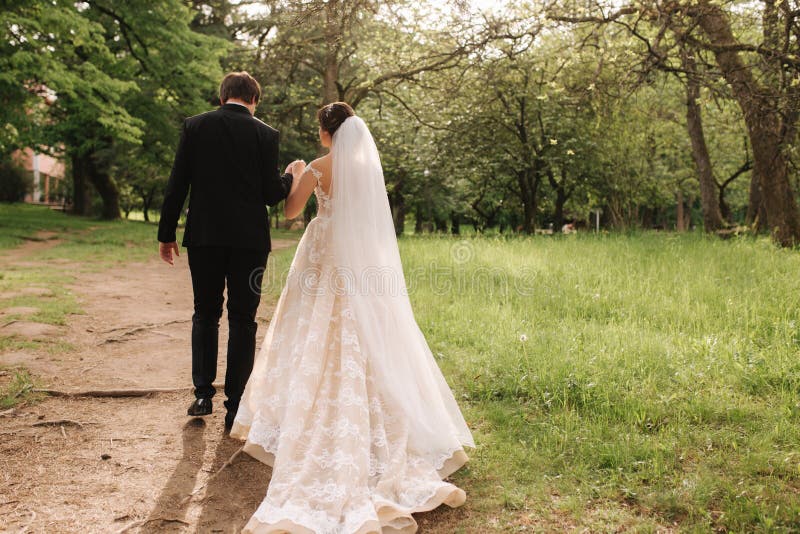 Back View of Groom and Bride Walking in the Forest Stock Photo - Image ...