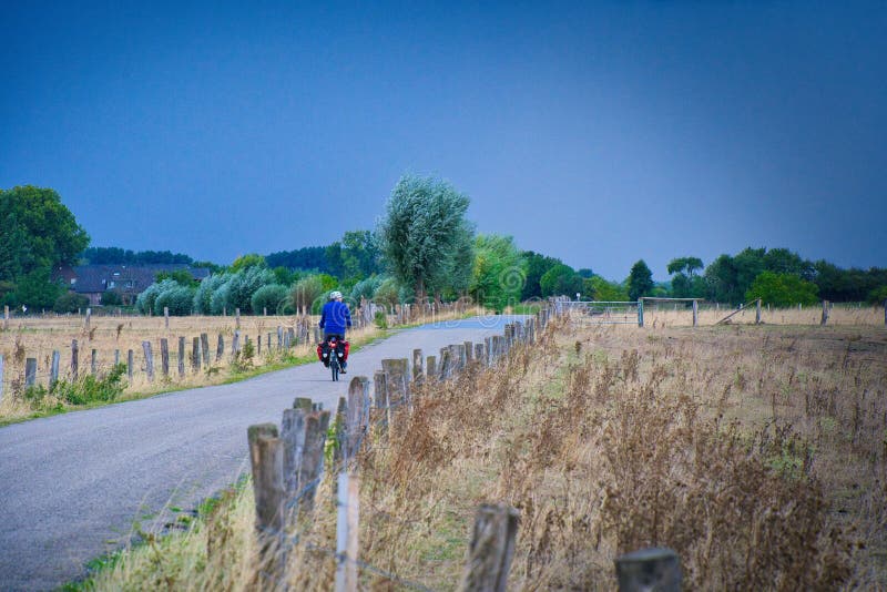 Back View of Human Cycling on Bicycle Surrounded by Growing Trees and ...