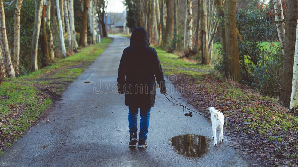Back View of Human with Dog Walking on Path Surrounded by Dense Trees ...