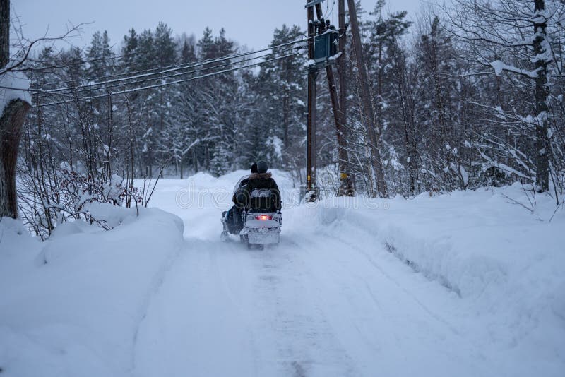 Back View of Human Driving Snowmobile in Forest Stock Photo - Image of ...
