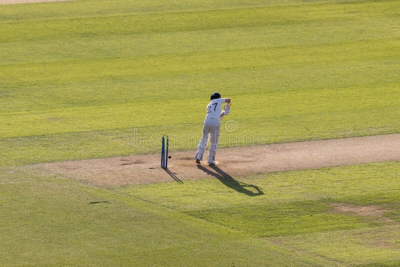 Back View of Human Standing on Cricket Field Stock Image - Image of ...