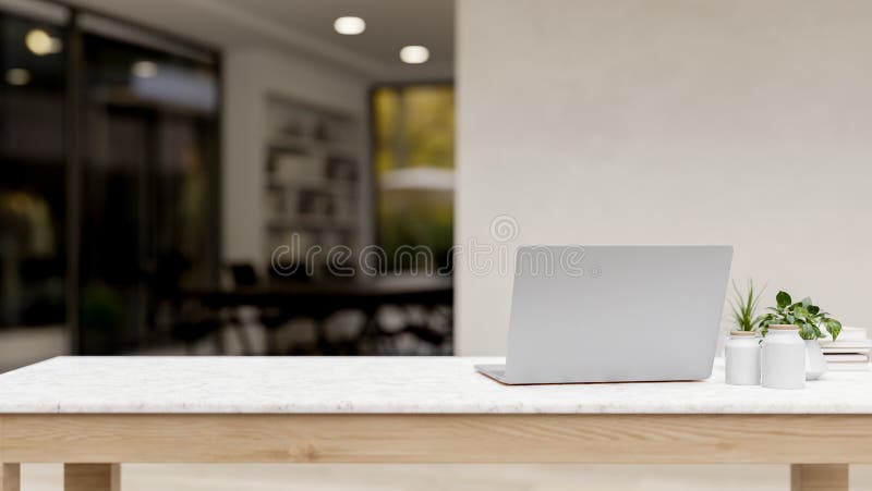 A Back View Image of a Laptop Computer and Decorative Plants on a White ...