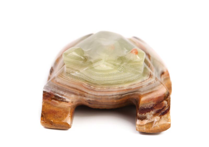 Back View Jade Turtle Stock Photos - Free & Royalty-Free Stock Photos ...