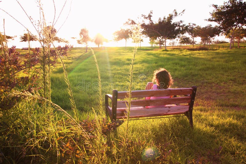 Back View of Kid Sitting on the Bench at Sunset in the Park Stock Image ...