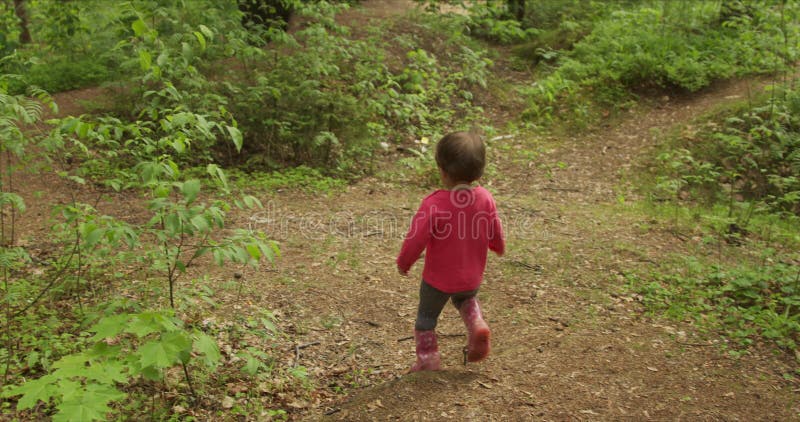 Back View of Little Girl Walking on Forest Path Stock Video - Video of ...