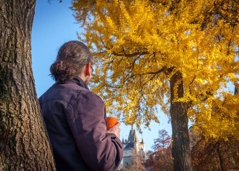 Back View of a Male Drinking Coffee in City Park Under Yellow Leaves ...