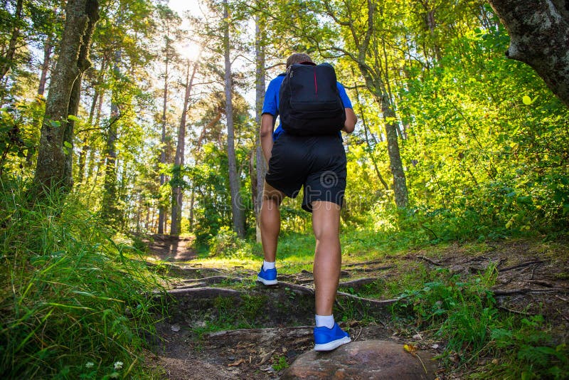 Back View of Male Hiker in Forest Stock Photo - Image of health, path ...