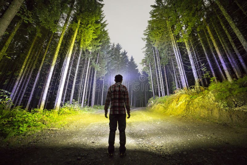 Back View of Man with Head Flashlight Standing on Forest Ground Road ...