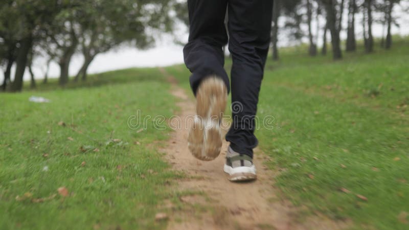 Back View Man Jogging Along a Grassy Trail in a Serene Forest Area on a ...