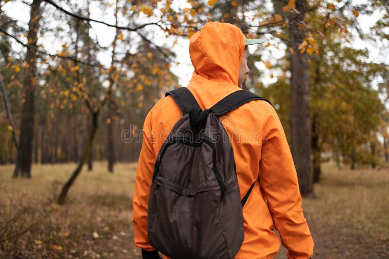 Back View of Man in Orange Jacket and Backpack Walking in Autumn Forest ...