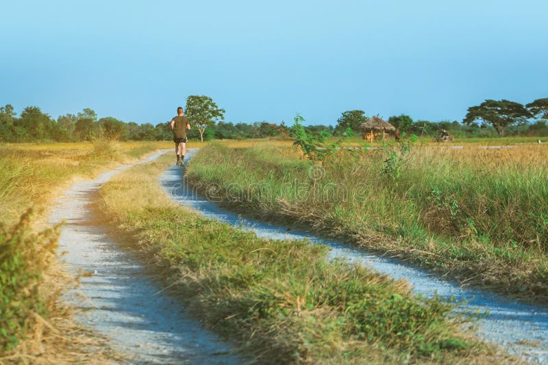 Back View of Man Running and Exercising on the Path through the Rice ...