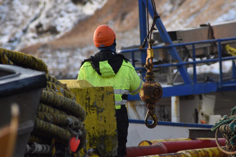 Back View of a Man Working on a Dock Stock Photo - Image of industrial ...