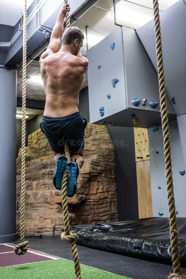 Back View of Muscular Man Doing Rope Climbing Stock Image - Image of ...