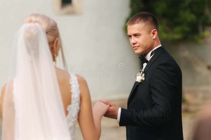 Back View of Newlyweds Walking in the Park. Elegant Bride and Handsome ...