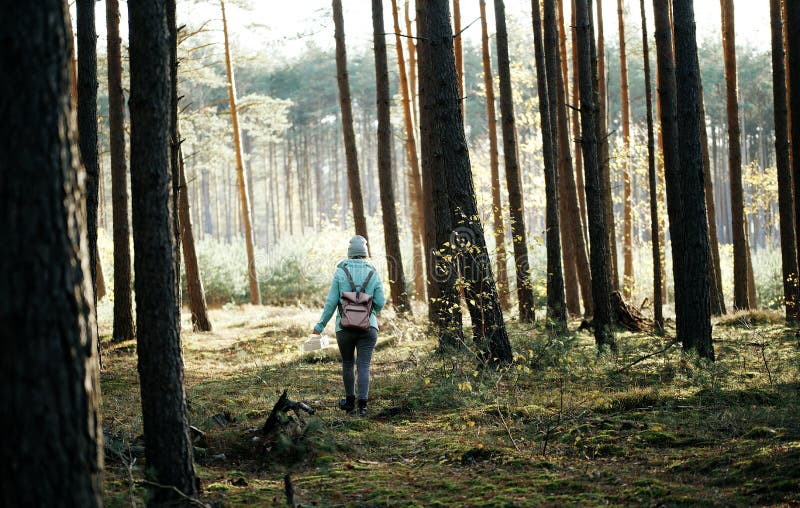 Back View of People in the Forest Stock Image - Image of male, summer ...