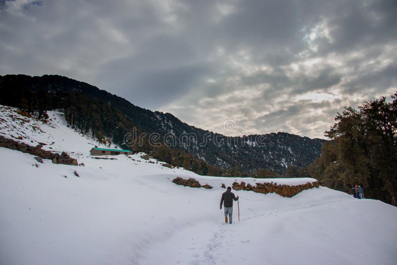 Back View of a Person Skiing on Snowy Mountains Editorial Stock Image ...
