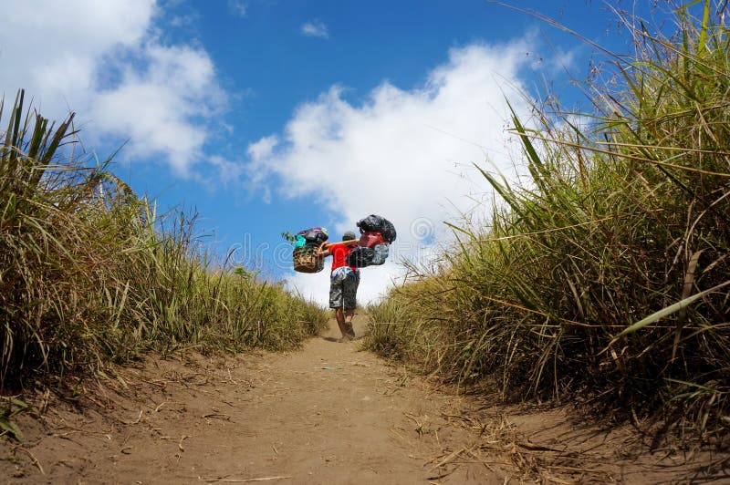 Back View Porter Mount Rinjani Editorial Stock Photo - Image of lombok ...
