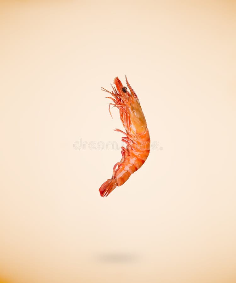 Back View of Prawn Isolated on Beige Background. Stock Photo - Image of ...
