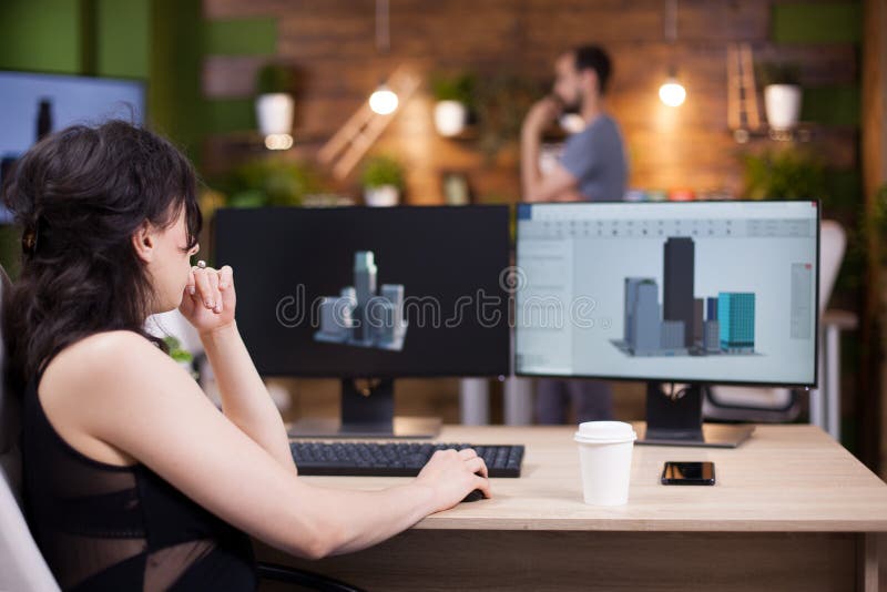 Back View of Project Leader Working on Her Computer Stock Image - Image ...