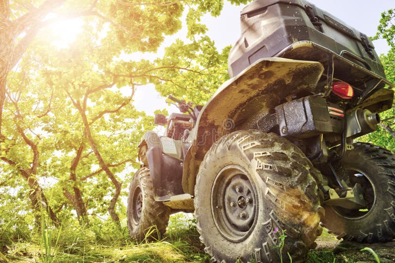 Back View of Quad Bike Deep in the Forest Road. Stock Photo - Image of ...