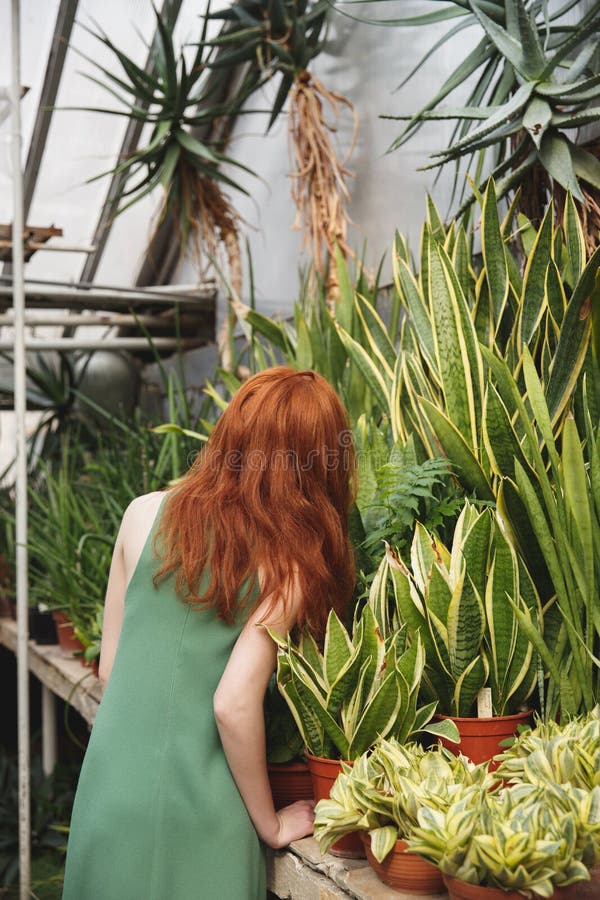 Back View of Redhead Girl Near Greenery Stock Image - Image of healthy ...