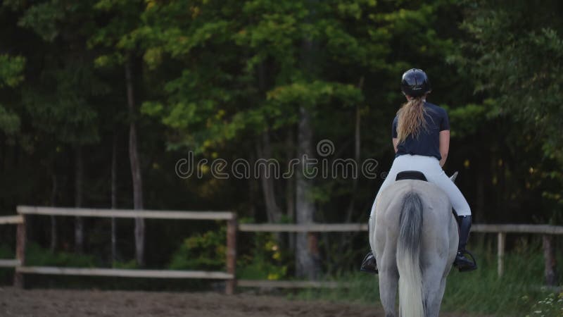 Back View of Rider on a Horse. Back View of a Rider with a Horse Slow ...