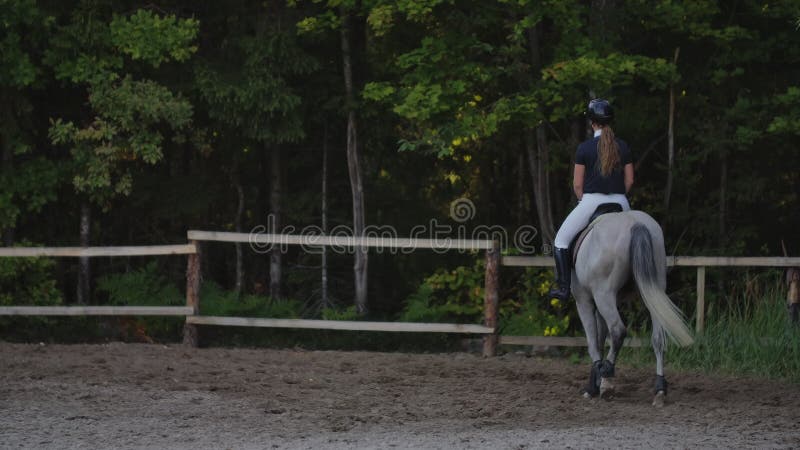 Back View of Rider on a Horse. Back View of a Rider with a Horse Slow ...