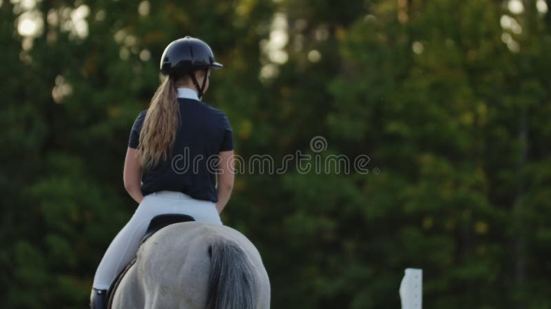 Back View of Rider on a Horse. Back View of a Rider with a Horse Slow ...