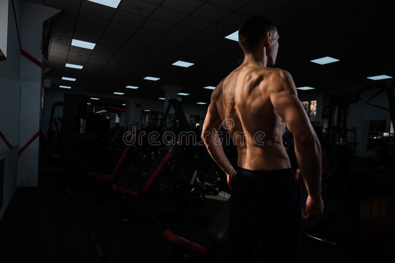 Back View of Shirtless Man with Sculpted Body in Gym. Stock Photo ...