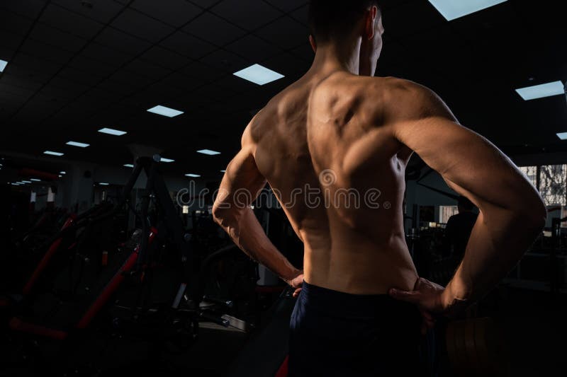 Back View of Shirtless Man with Sculpted Body in Gym. Stock Image ...