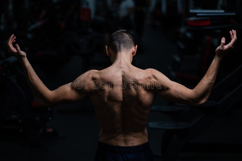 Back View of Shirtless Man with Sculpted Body in Gym. Stock Photo ...