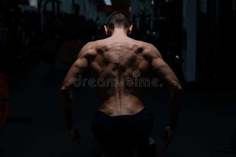 Back View of Shirtless Man with Sculpted Body in Gym. Stock Image ...
