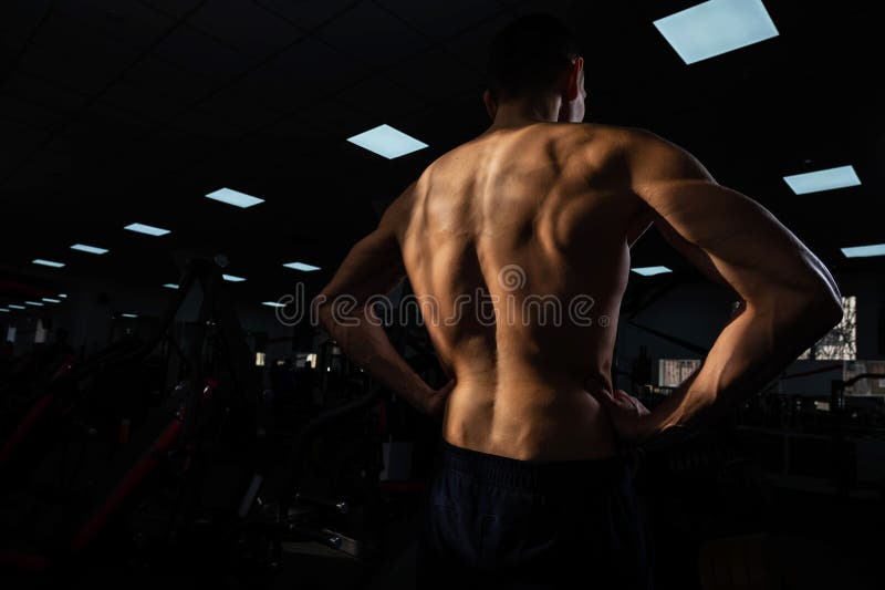 Back View of Shirtless Man with Sculpted Body in Gym. Stock Photo ...