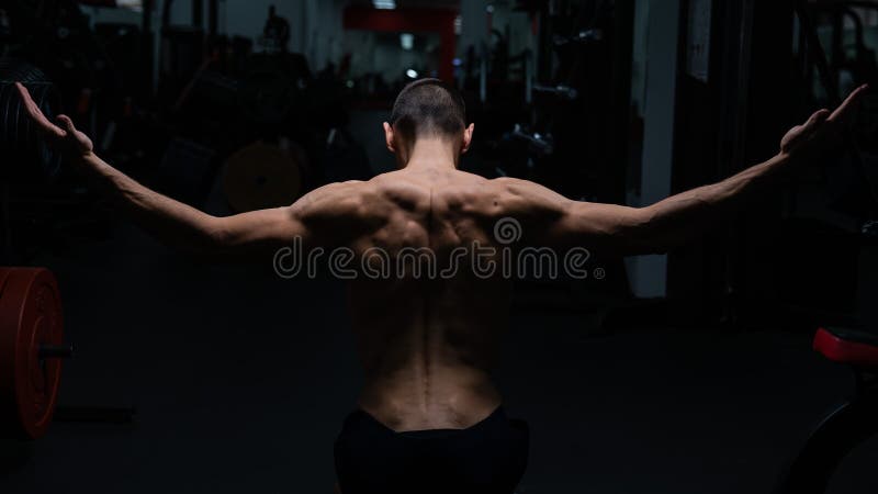Back View of Shirtless Man with Sculpted Body in Gym. Stock Photo ...
