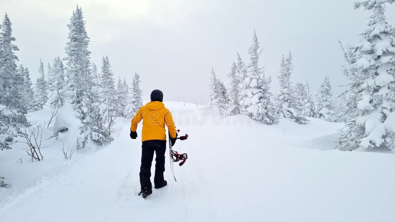 Back View of Sportsman Holding Snowboard while Walking on White Snow ...