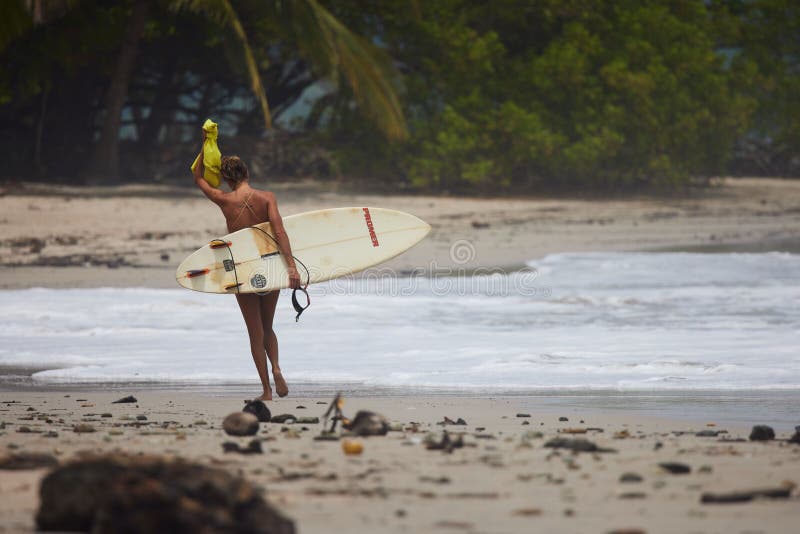Back View of Surfer Holding Surfboard and Walking on Sandy Beach ...