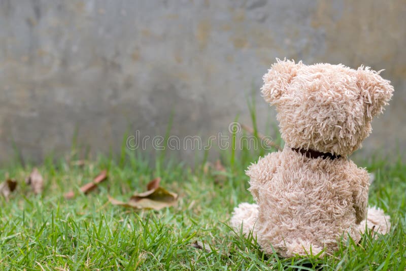 Back View of Teddy Bear Looking at the Park Stock Image - Image of ...
