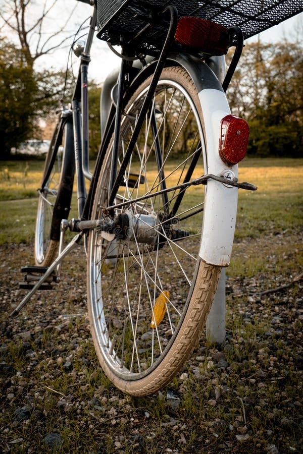 Back View of a Two-wheel Bicycle in the Autumn Park Stock Photo - Image ...
