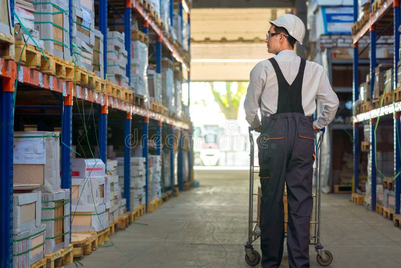 Back View of a Warehouse Worker with a Trolley. Stock Photo - Image of ...